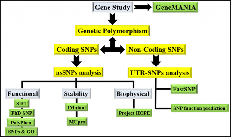 نحوه آناليز بیوانفورماتیکی SNP ها : آنالیز SNP به صورت In Silico - بیومایند